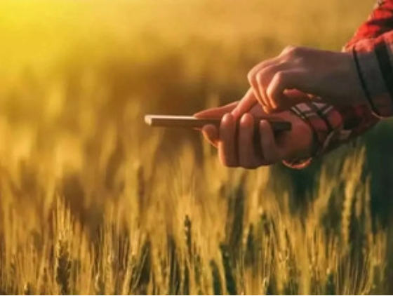 Krishify: A social network and commerce platform for farmers